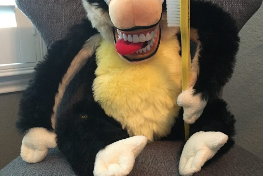 DHMO - OraQuest Dental Plans